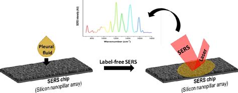 Figure 1 From Machine Learning Assisted Real Time Label Free Sers Diagnoses Of Malignant Pleural