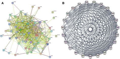 Construction Of The Ppi Network And Cluster Analyses Of Important Gene