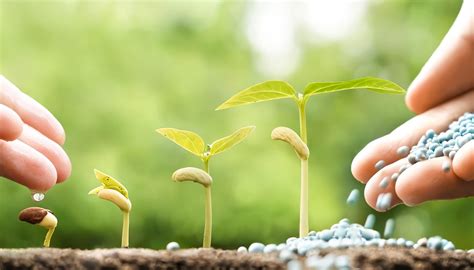 Fertilizantes Qué Son Y Para Qué Sirven Tipos De 52 OFF