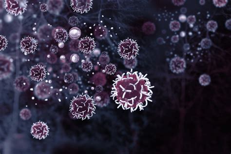 Syngeneic Mouse Models For Preclinical Immuno Oncology Drug Discovery