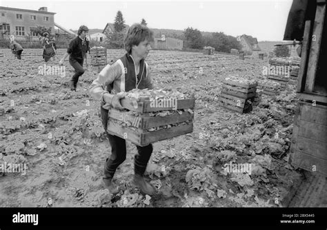 Ddr Grenze Fotos Und Bildmaterial In Hoher Auflösung Alamy