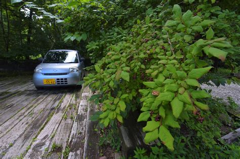 2023年7月をふり返る 写々是好日