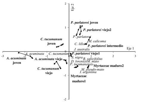 Diagrama De Escalamiento Multidimensional No Métrico Basado En La Download Scientific Diagram