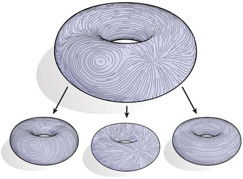 17 Above The Tangential Component Of The Normal Vector Field Below Download Scientific