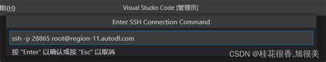 Autodl Gpu租用平台使用（llm 备用）4090租用 Csdn博客