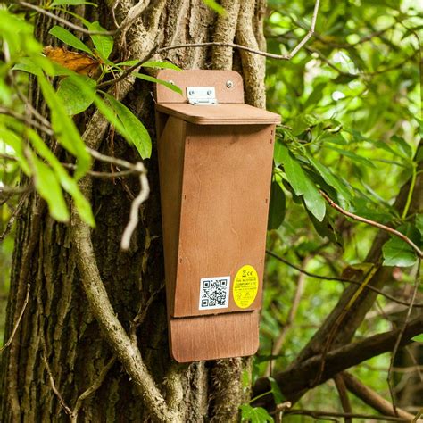 Treecreeper Nest Box The Nestbox Company