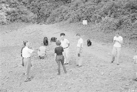 National Park Services Open Parks Network Archive Reveal Life Over