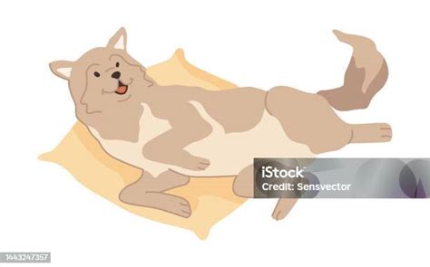 Husky Breed Of Canine Animal Isolated Cute Doggo Laying On Bed Or Soft