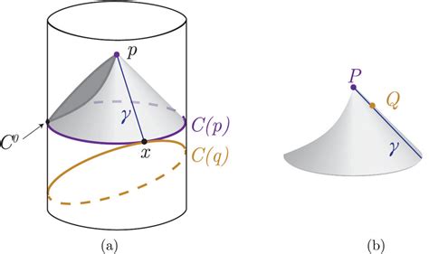 A J P Will Generally Have Caustics And Some Isolated C Points