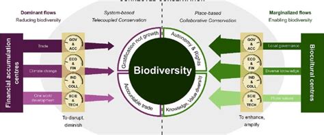 Connected Conservation Rethinking Conservation For A Telecoupled World