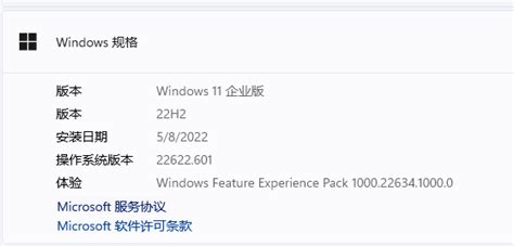 Version 100 At Windwos 11 22622601 Can Not Run · Issue 256