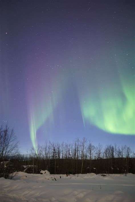 2023년 4월 10일 밤 11일 새벽 알래스카 여행 페어뱅크스 날씨 대체로 흐림 온도 6°f 오로라 예보 3 달