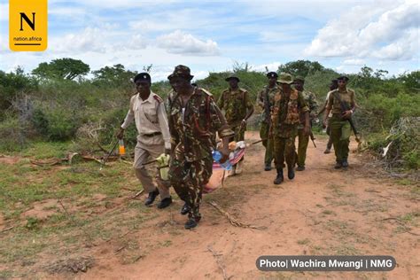 Nation Africa On Twitter A Woman Who Was Rescued From A Thicket In