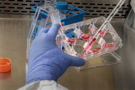 A Novel Extracellular Matrix Derived From Human Perinatal Cells