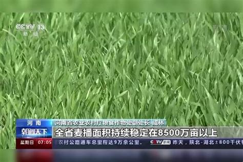 助企纾困 应变克难丨政策措施“组合拳”确保农资保供稳价（2）应变农资