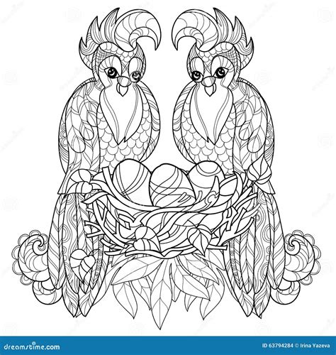 Zentangle Parrot On Nest Hand Drawn Vector Stock Vector Illustration Of Nest Decor