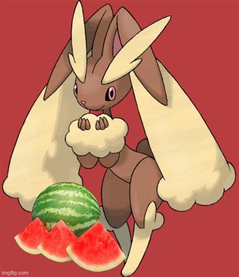 Lopunny With Big Melons R Lopunny