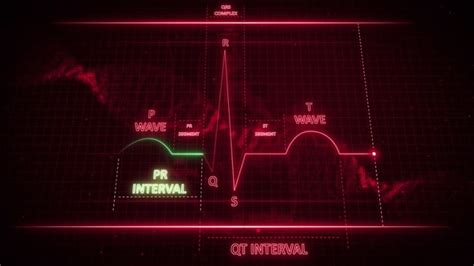 PR Interval The Definitive Guide Biology Dictionary