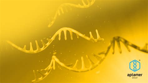 Non Viral Vectors Precision Tuned For You Aptamer Group