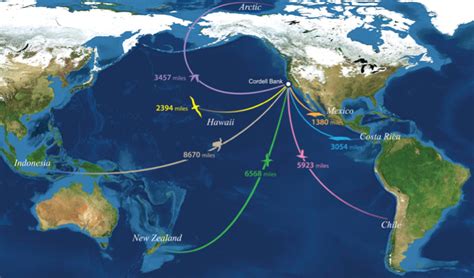 Migration Map Noaa Teacher At Sea Blog