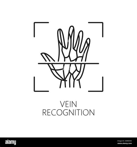 vein recognition biometric identification and verification icon