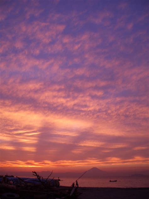 Aut07 日野 弘毅 Kouki Hino Official Site