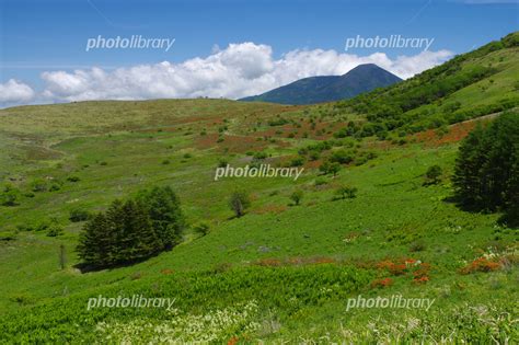 Photolibrary
