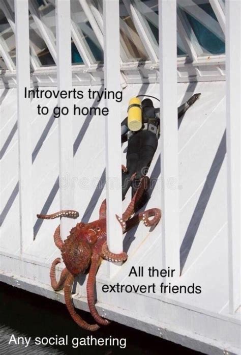 The Best Extrovert Memes Memedroid