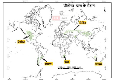 विश्व के घास प्रदेशgrasslands Of The World Geography From Classroom To Campus”