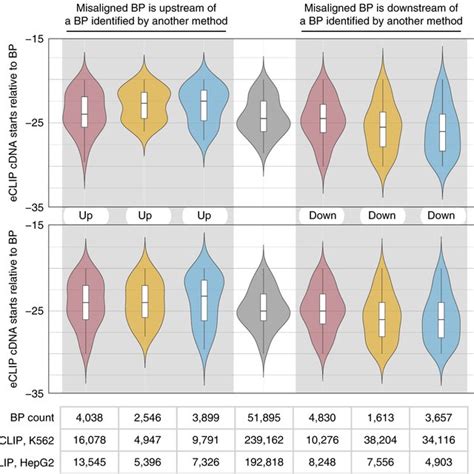 comparison of bps identified by spliceosome iclip rna seq lariat reads