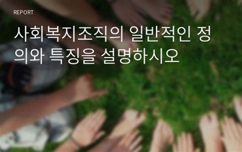 사회복지조직의 일반적인 정의와 특징을 설명하시오 레포트