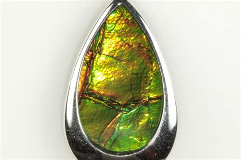 Colorful Ammolite Fossil Ammolite Shell Pendant Sterling Silver