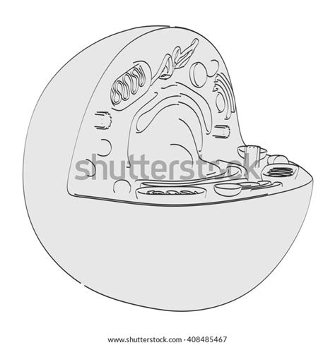 D Cartoon Illustration Human Cell Stock Illustration Shutterstock
