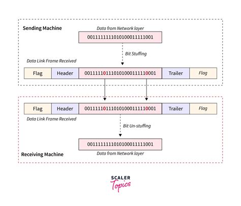 difference between byte stuffing and bit stuffing scaler blog