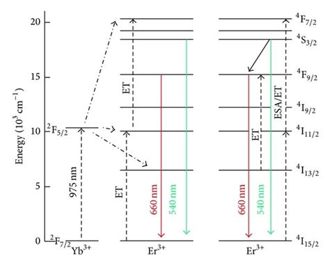 Energy Level Diagram Of Yb³⁺ And Er³⁺ Ions And Possible Upconversion