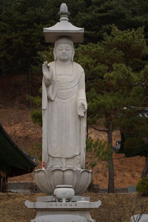 Amitabha Buddhism Korea Korea Temple 불교 Korean Buddhism 건축 계발