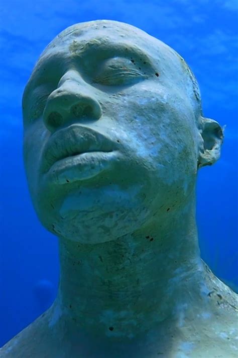 Underwater Sculptures Tee Ken Ng Pictures Rotten Tomatoes
