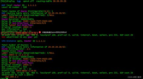Srv6 Besrv6 Be配置案例 Csdn博客