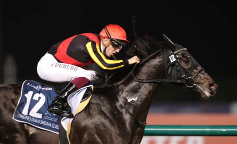 【天皇賞・秋】シャフリヤール5枠8番、イクイノックス4枠7番、パンサラッサ2枠3番 枠順確定｜テレ東スポーツ：テレ東