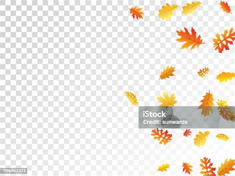 オークメープル野生の灰のローワンはベクトルを残し透明な背景に紅葉 イラストレーションのベクターアート素材や画像を多数ご用意