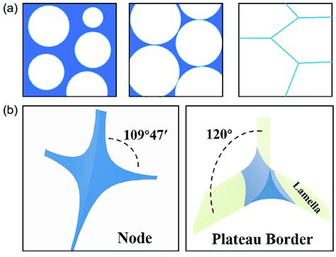 A Different Shapes Of Bubbles Caused By Different Amounts Of Liquid