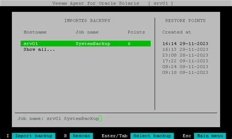 Step 2 Select Backup And Restore Point Veeam Agent For Oracle