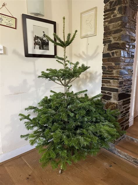 Techinnovation Techsolutions Problemsolving Techhumor Diytech