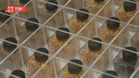 习近平海南行丨植根南繁硅谷 做强种业芯片走进崖州湾种子实验室 四川在线