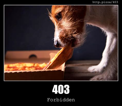 Forbidden Status Code And Cats