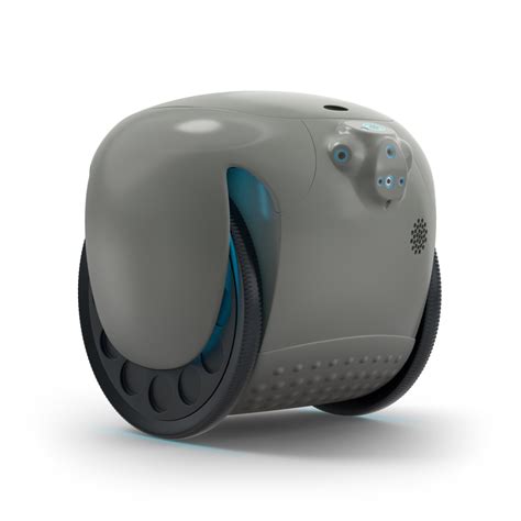 Gita® Robot Ne Design