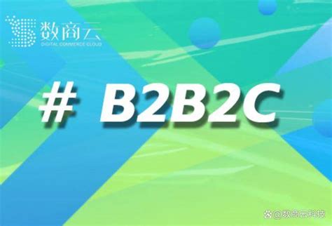 B2b2c积分撮合交易模式：创新电商生态下的价值流通与共赢策略和平台消费者