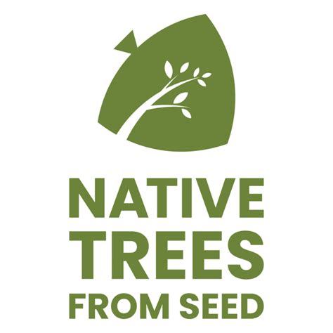 How To Grow Aspen Nativetreesfromseed Com