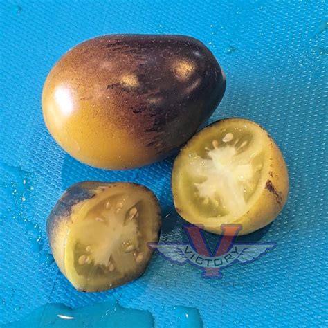 Dwarf Mignonne Tomato Victory Seeds® Victory Seed Company