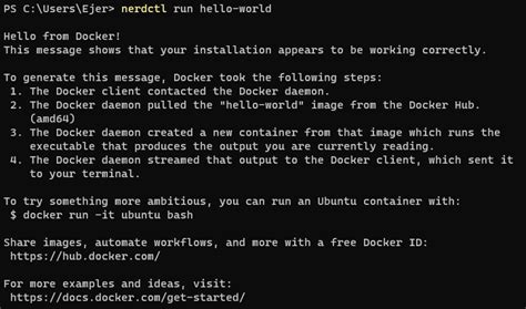 Windows Cannot Run Docker Containers With Nerdctl With Administrative Rights · Issue 819